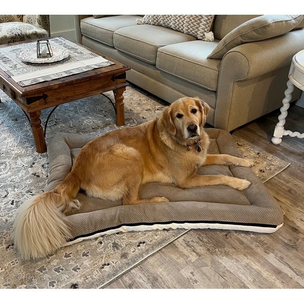 Out of Stock - SNOOZER PET PRODUCTS All Day with Cloud 9 Ivory ...