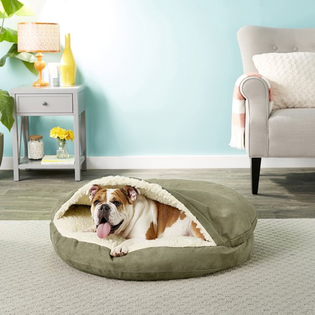 Snoozer Pet Products: Snoozer Dog & Pet Beds - Free Shipping