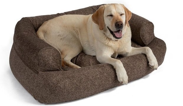 Snoozer Pet Products: Snoozer Dog & Pet Beds - Free Shipping