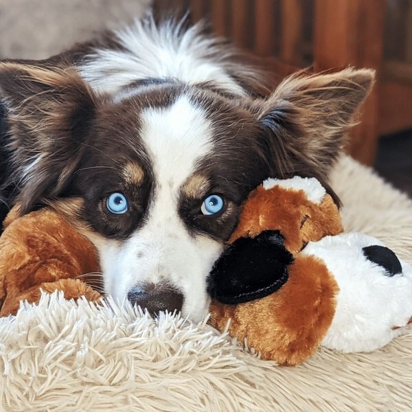 SNUGGLE PUPPY Original Snuggle Puppy Plush Dog Behavioral Aid Anxiety ...