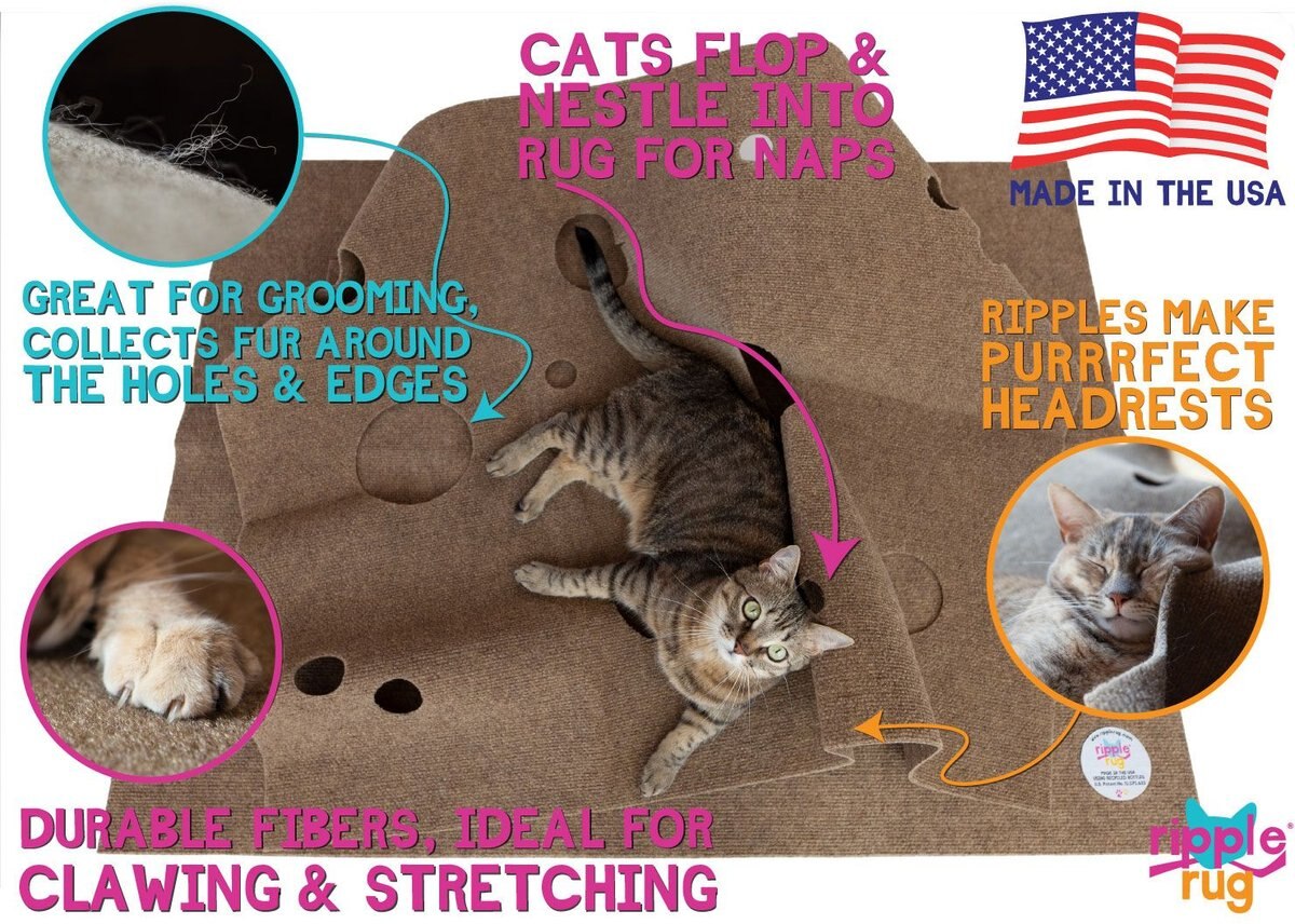 SNUGGLYCAT Ripple Rug Cat Activity Play Mat, Beige - Chewy.com