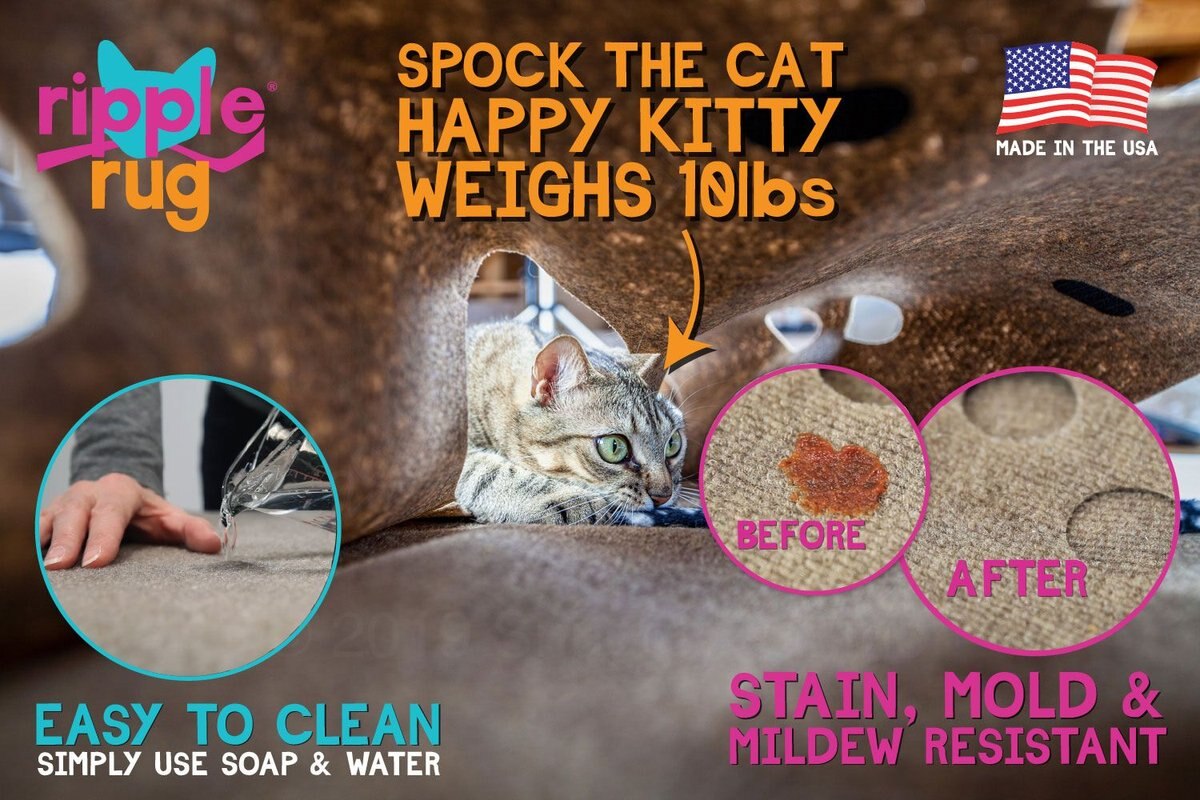 SNUGGLYCAT Ripple Rug Cat Activity Play Mat, Beige - Chewy.com