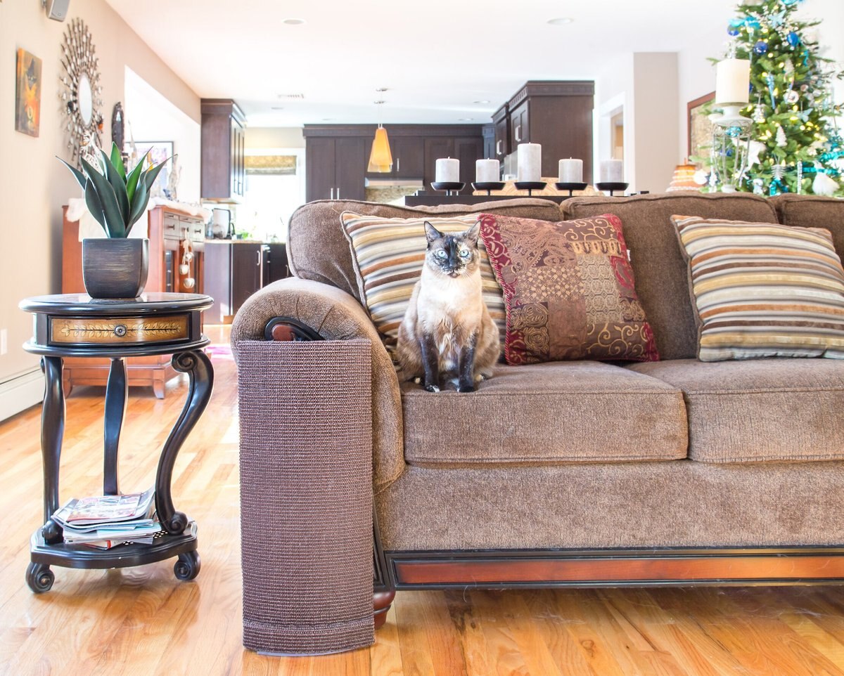 SOFA-SCRATCHER Furniture Protector Cat Scratching Post, Moss - Chewy.com