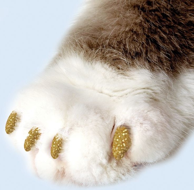 SOFT CLAWS Cat Nail Caps, 40 count, Small, Gold Sparkle - Chewy.com