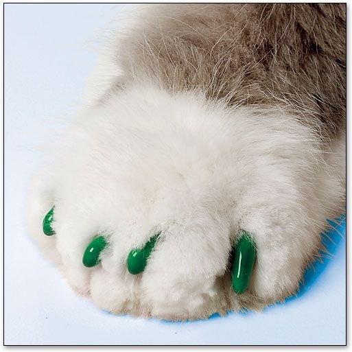 SOFT CLAWS Cat Nail Caps, 40 count, Small, Green - Chewy.com