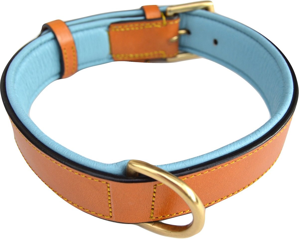 SOFT TOUCH COLLARS Leather Two-Tone Padded Dog Collar, Tan Teal, Large ...