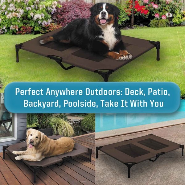 SOLAR TEC by Arlee Home & Pet Cooling Outdoor Elevated Pet Bed, Gray ...