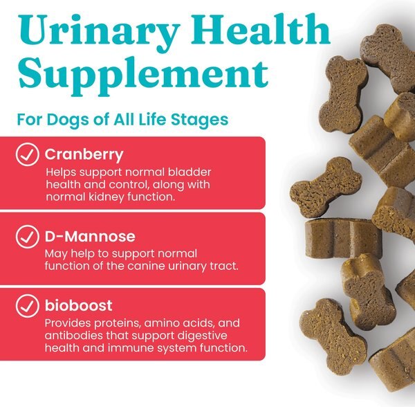 Discontinued - SOLID GOLD Berry Balance Urinary Tract Health Bacon ...