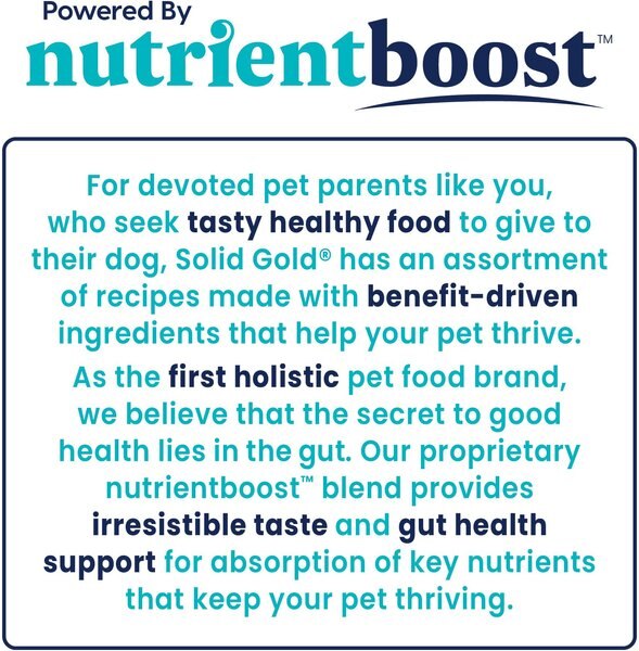 SOLID GOLD Nutrientboost Hund-n-Flocken Lamb Recipe with Healthy Whole Grains Wet Dog Food, 12.5 ...