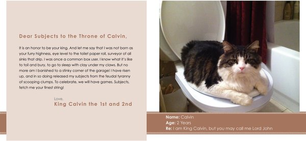 Sorry I Barfed on Your Bed - Chewy.com