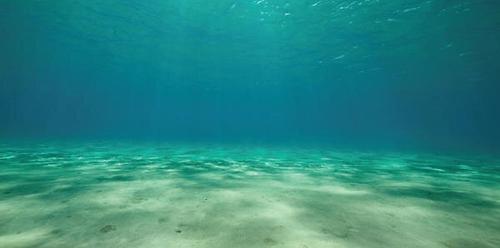 aquarium backgrounds