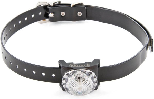 SPORTDOG Locator Beacon for Dog Collars, White - Chewy.com