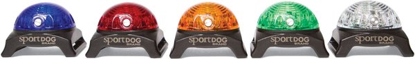 SPORTDOG Locator Beacon for Dog Collars, White - Chewy.com