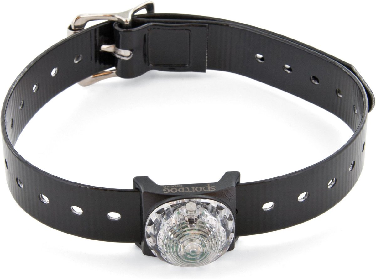 SPORTDOG Locator Beacon for Dog Collars, White - Chewy.com