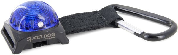SPORTDOG Locator Beacon for Dog Collars, White - Chewy.com
