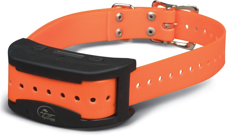 SportDOG Collars: Remote & Training Collars - Free Shipping