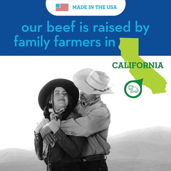 Out of Stock - SPOT FARMS Basic Beef Tenders Jerky Dog Treats, 10-oz ...