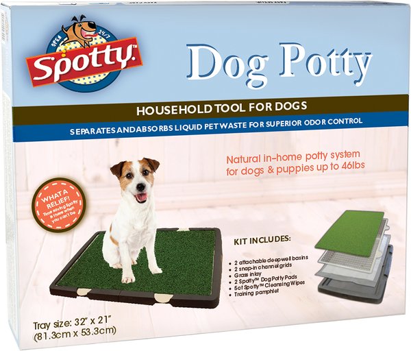 SPOTTY Indoor Dog Potty Complete System, 32 x 21-in - Chewy.com