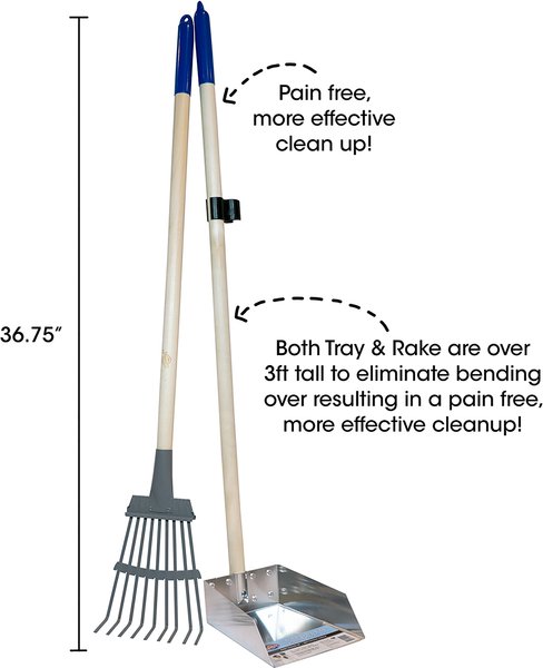 SPOTTY Metal Tray & Rake Poop Scooper Set, 40-in - Chewy.com