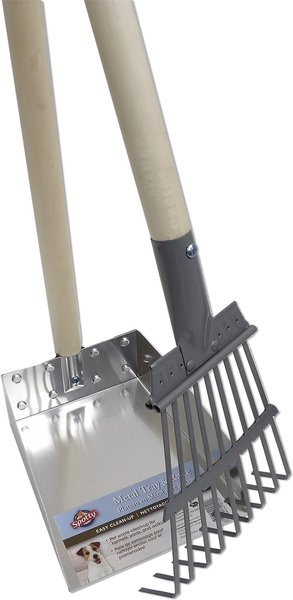 SPOTTY Metal Tray & Rake Poop Scooper Set, 40-in - Chewy.com