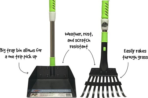 SPOTTY Telescopic Tray & Rake Poop Scooper, 43-in - Chewy.com