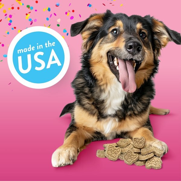 SPUNKY PUP Birthday Bites Peanut Butter Biscuits Crunchy Dog Treats, 10 ...
