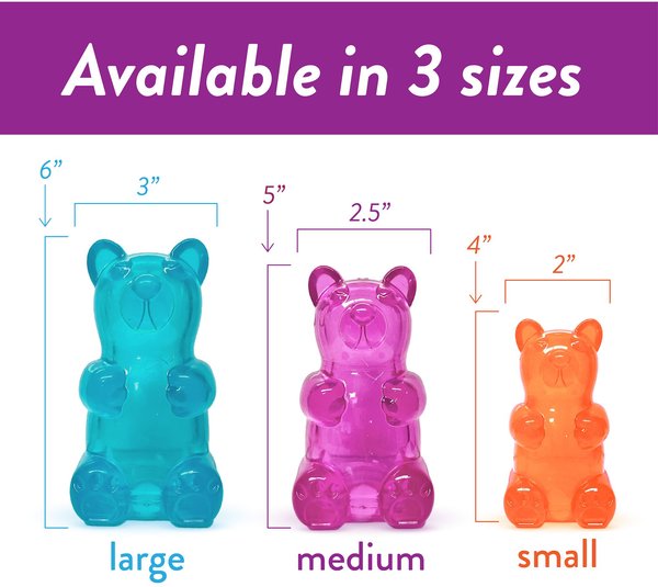 SPUNKY PUP Spunky Bear Squeaky Dog Chew Toy, Medium - Chewy.com