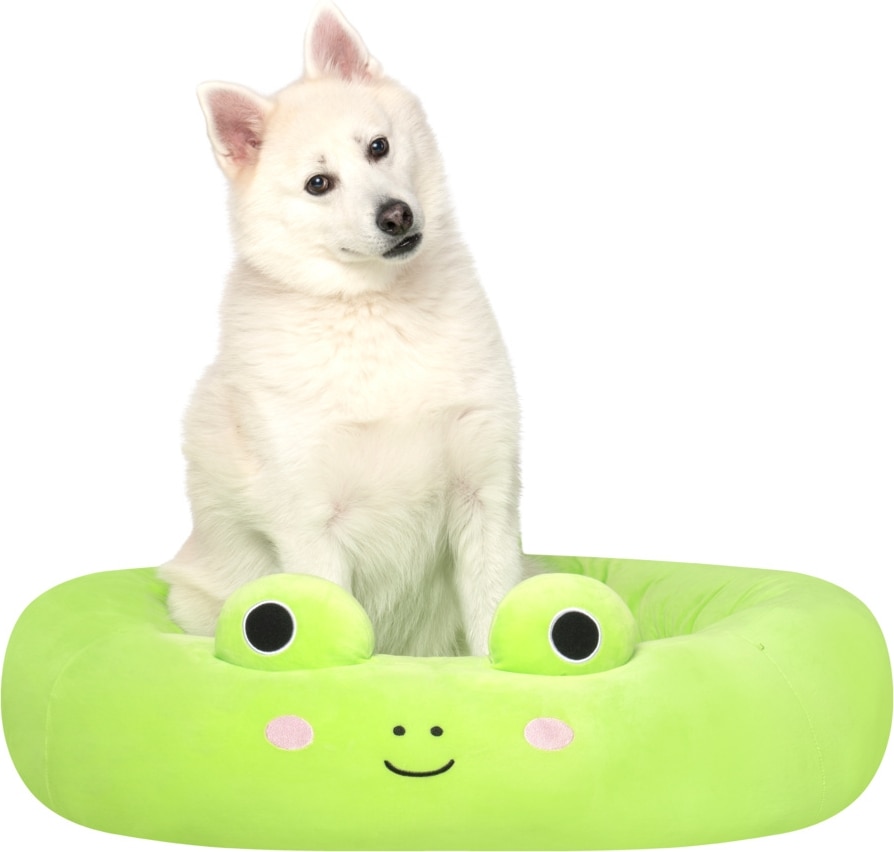 Discontinued - SQUISHMALLOWS Wendy Frog Cat & Dog Bed, Green, Large ...