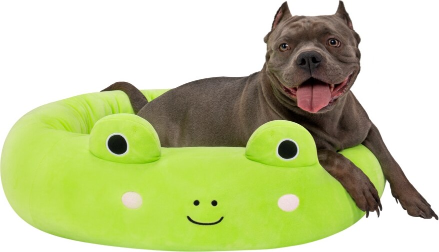 Discontinued - SQUISHMALLOWS Wendy Frog Cat & Dog Bed, Green, Medium ...