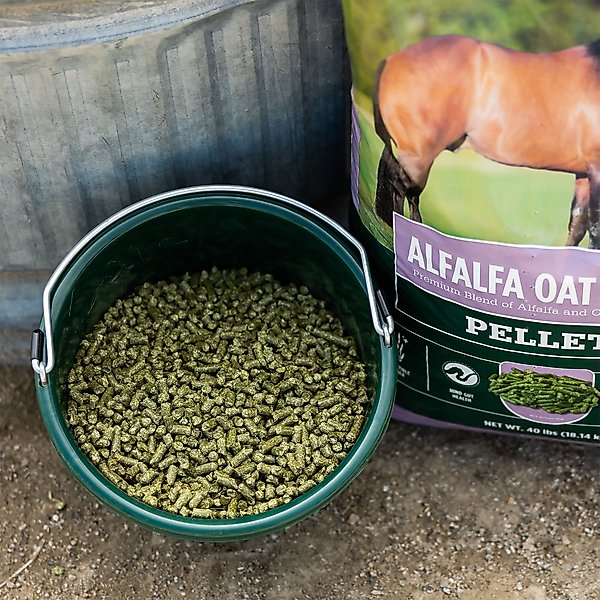 STANDLEE Premium Western Forage Alfalfa Oat Grass Hay Pellets Horse Feed, 40-lb bag - Chewy.com