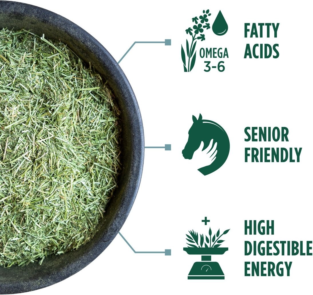 Out of Stock - STANDLEE Premium Western Forage Alfalfa/Timothy Chopped ...