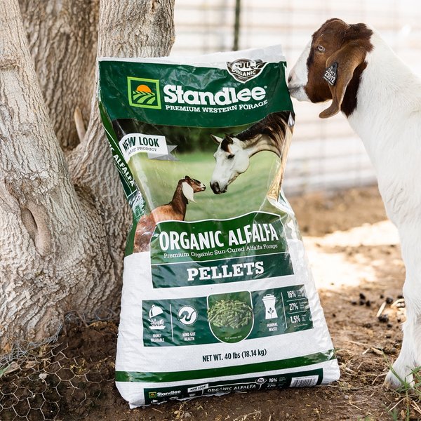 STANDLEE Premium Western Forage Organic Alfalfa Hay Pellets Horse & Goat Feed, 40-lb bag - Chewy.com