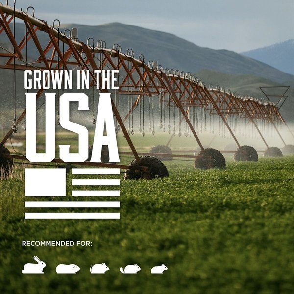 STANDLEE PremiYum Western Orchard Hay Small Animal Food, 9-lb box ...