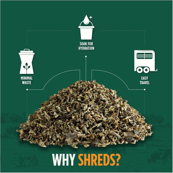 STANDLEE Smart Beet Shreds Horse Feed, 25-lb bag - Chewy.com