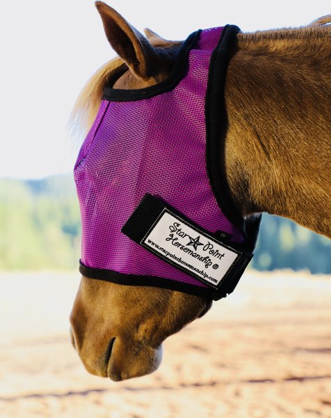 Out of Stock - STAR POINT HORSEMANSHIP Mini-Pony No Ear Fly Mask ...