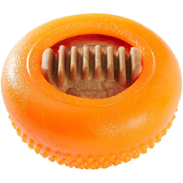 STARMARK Everlasting Bento Ball with Dental Treat Tough Dog Chew Toy ...