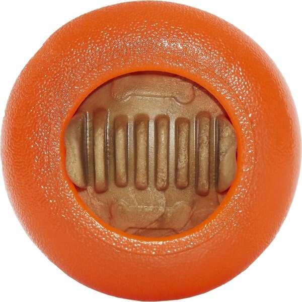 STARMARK Everlasting Bento Ball with Dental Treat Tough Dog Chew Toy ...