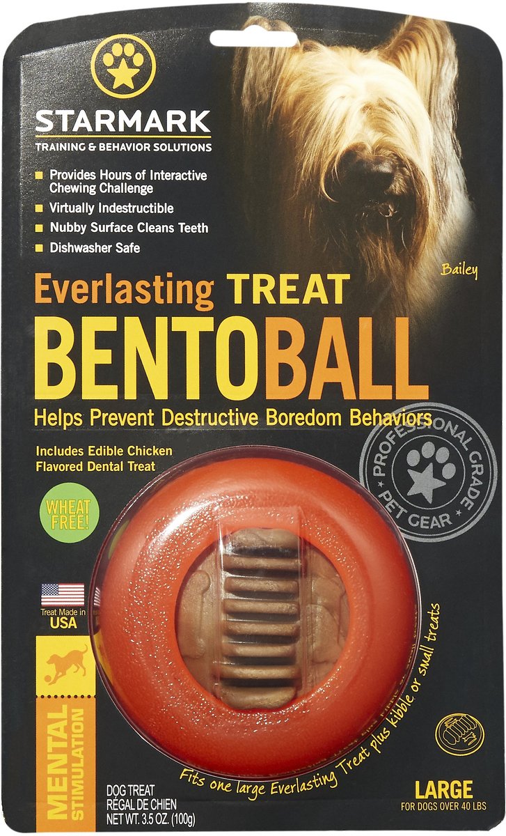 STARMARK Everlasting Bento Ball with Dental Treat Tough Dog Chew Toy ...