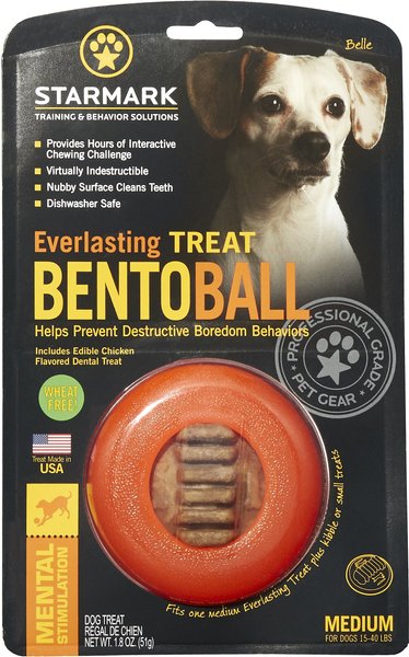 STARMARK Everlasting Bento Ball with Dental Treat Tough Dog Chew Toy ...