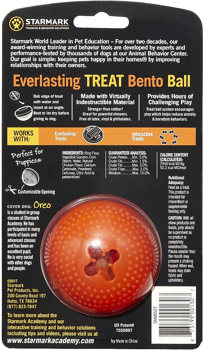 STARMARK Everlasting Bento Ball with Dental Treat Tough Dog Chew Toy ...