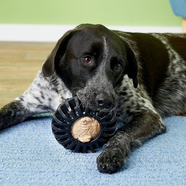 STARMARK Everlasting Treat Wheeler Tough Dog Chew Toy, Large - Chewy.com