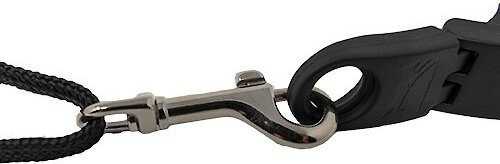 STARMARK Pro-Training Plastic Dog Collar, Large: up to 21-in neck, 1-in ...