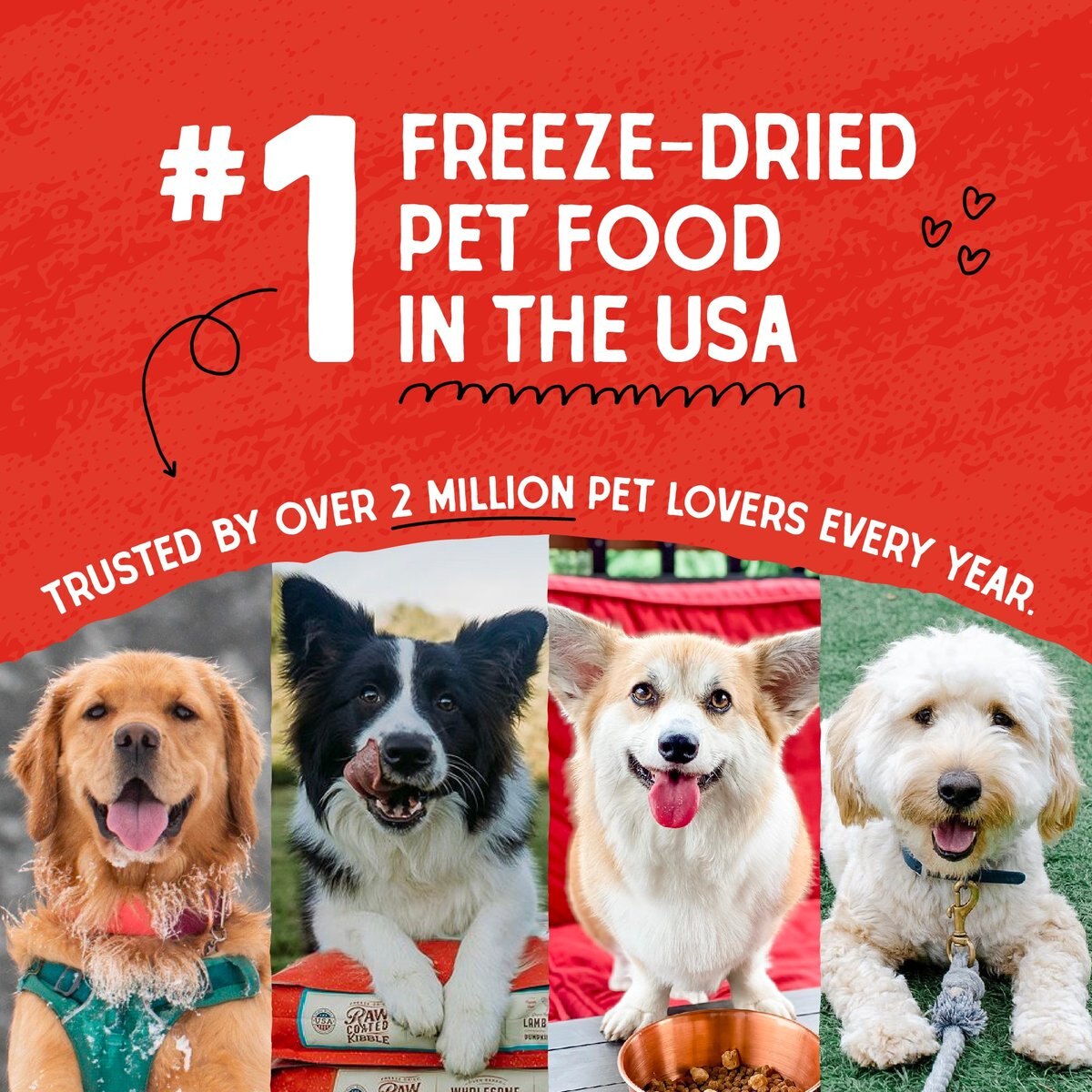 STELLA & CHEWY'S Absolutely Rabbit Dinner Patties Freeze-Dried Raw Dog ...