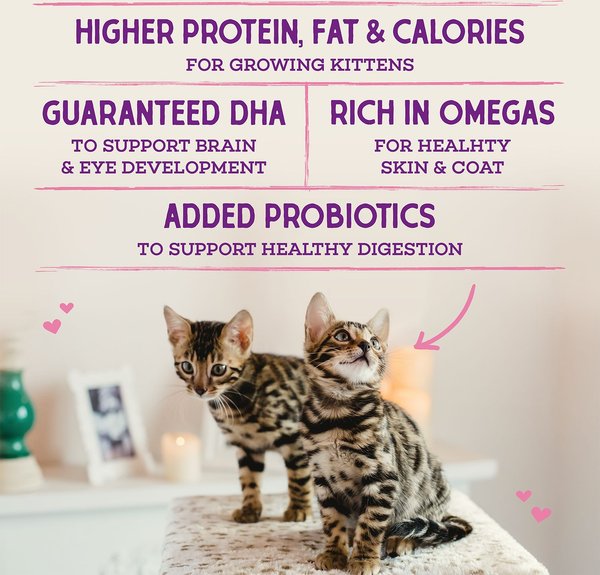 STELLA & CHEWY'S Chicken Flavored Raw Coated Cage-Free Kitten Dry Cat ...