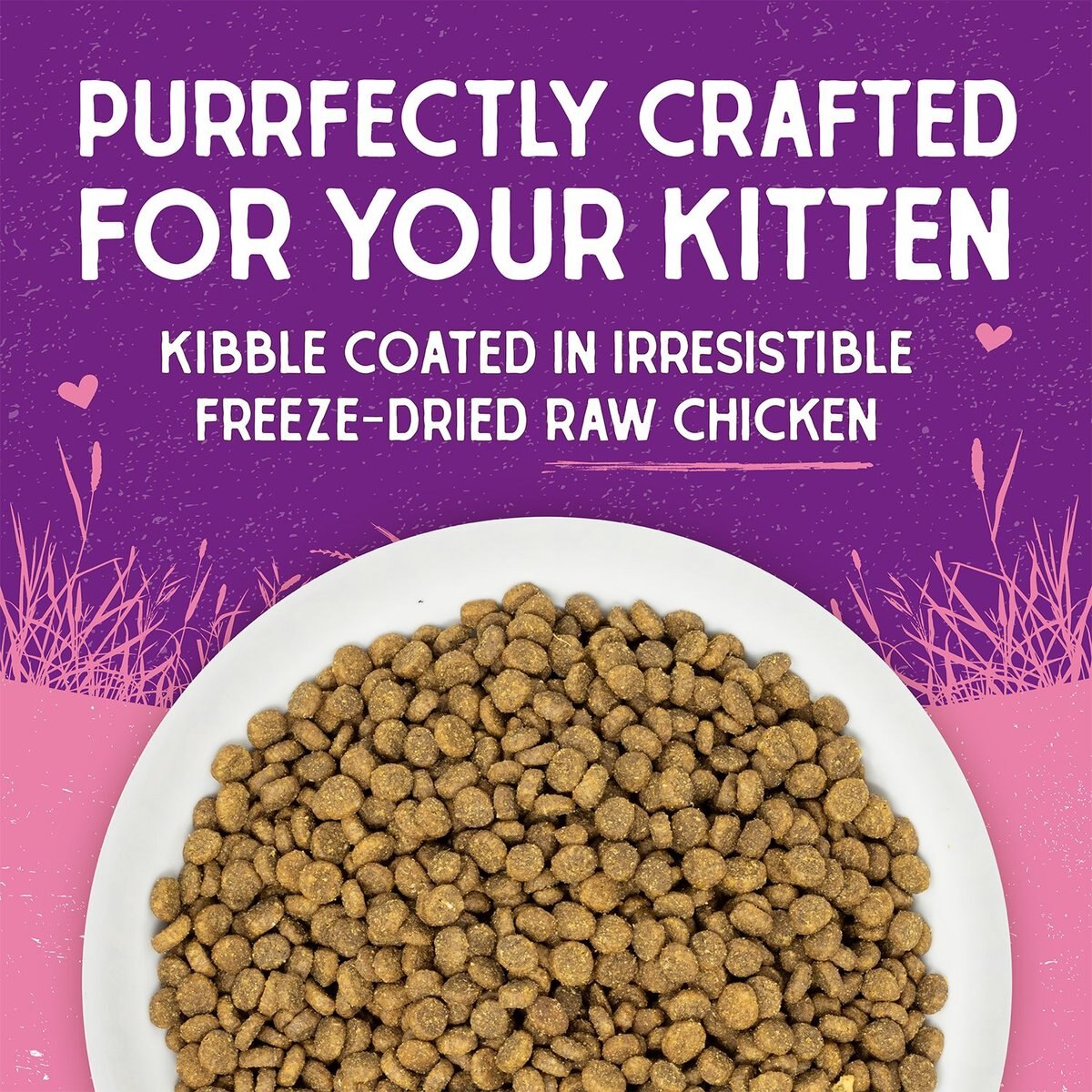 STELLA & CHEWY'S Chicken Flavored Raw Coated Cage-Free Kitten Dry Cat ...