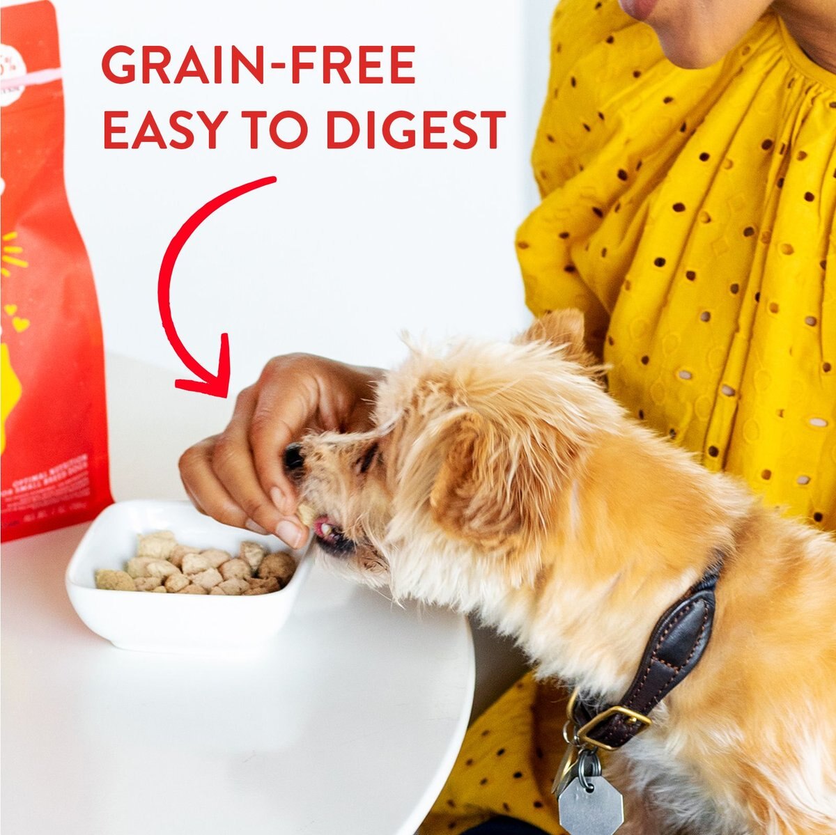 STELLA & CHEWY'S Lil' Bites Chicken Little Recipe Small Breed Freeze ...