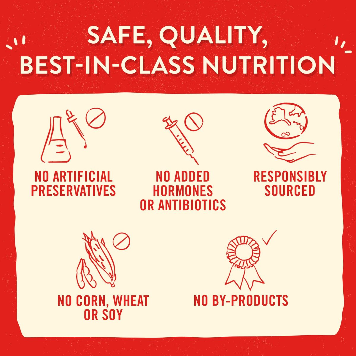 STELLA & CHEWY'S Lil' Bites Itty Bitty Beef Recipe Small Breed Freeze ...