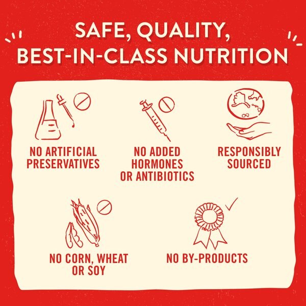 STELLA & CHEWY'S Lil' Bites Itty Bitty Beef Recipe Small Breed Freeze ...