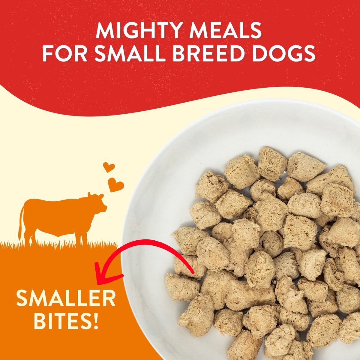 STELLA & CHEWY'S Lil' Bites Itty Bitty Beef Recipe Small Breed Freeze ...