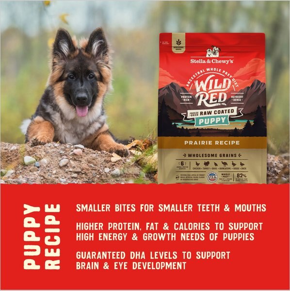 STELLA & CHEWY'S Puppy Prairie Recipe Wild Red Raw Coated High Protein ...